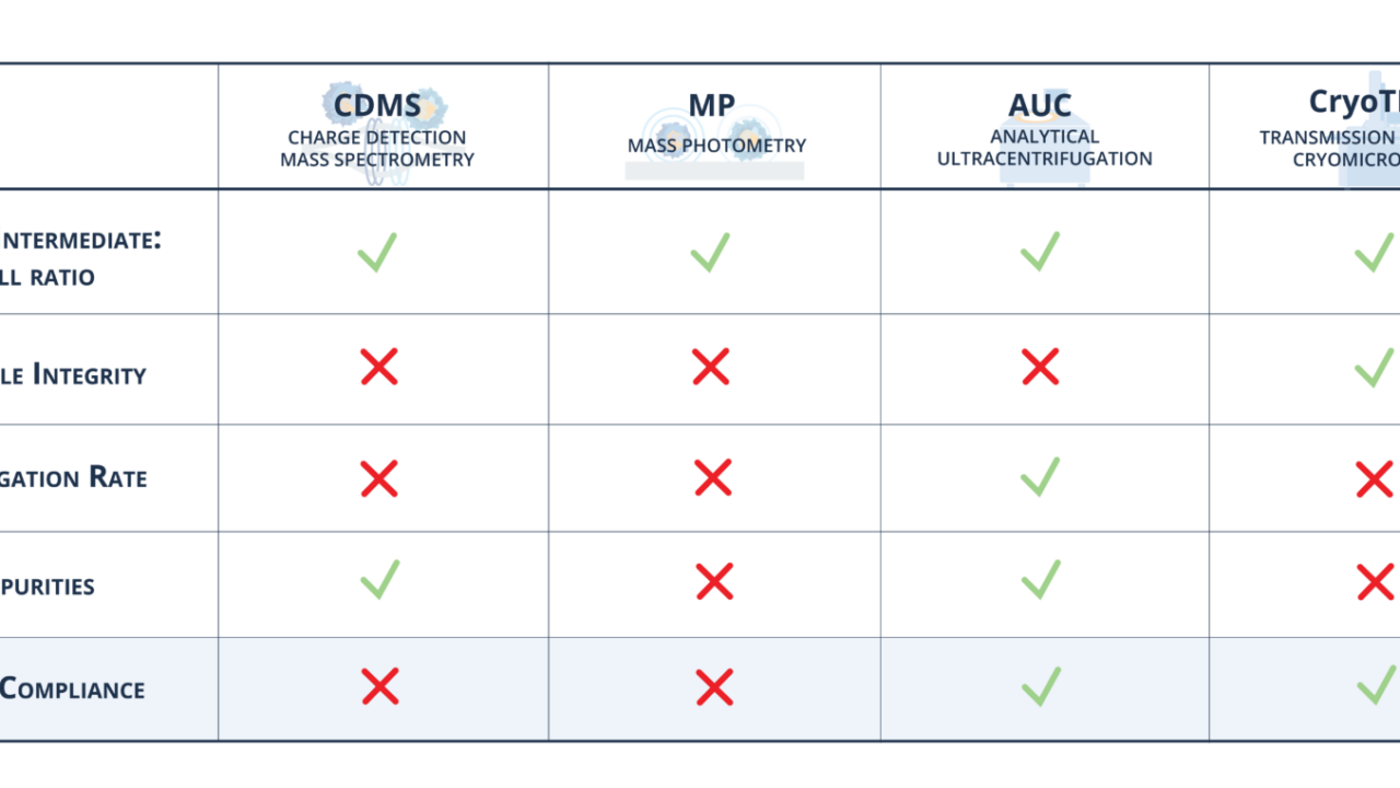 TEM Testing for Virus & vector characterization - ViruSure