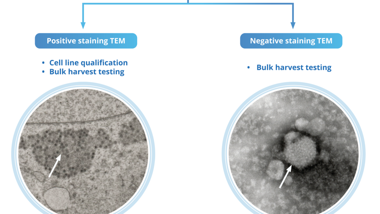 TEM Testing for Adventitious Agents & RVLPs - ViruSure