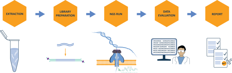 NGS Validation and Testing for Adventitious Agent Detection - ViruSure